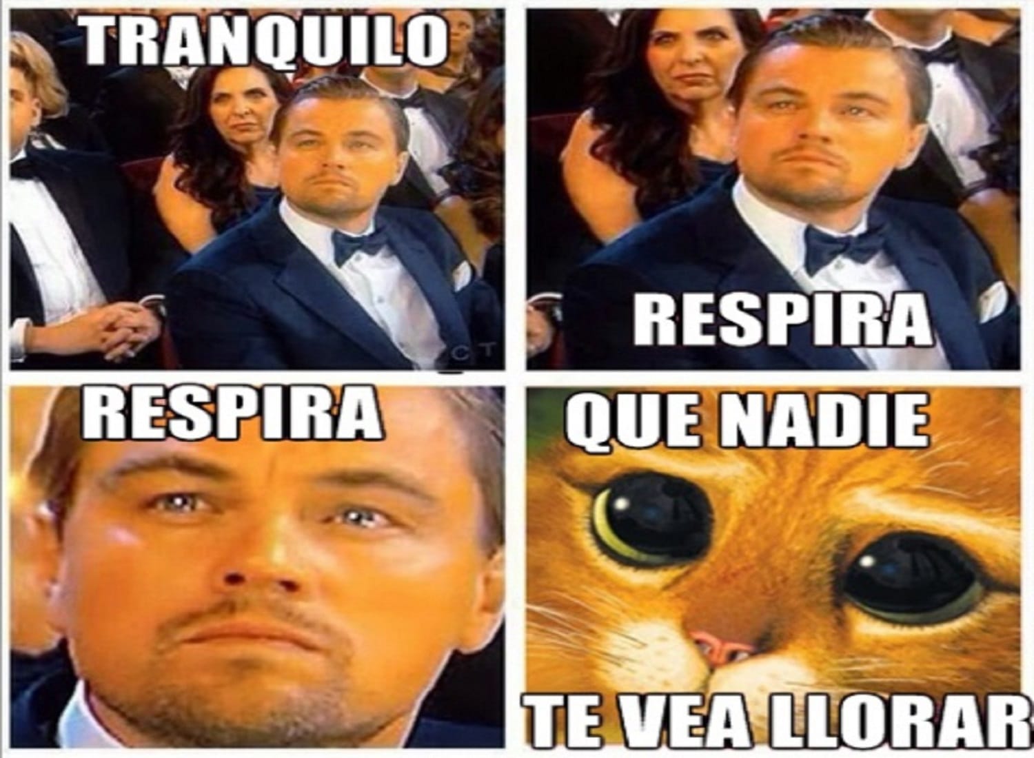 Mejores MEMES de 2016 【 Top 20 Memes más Divertidos