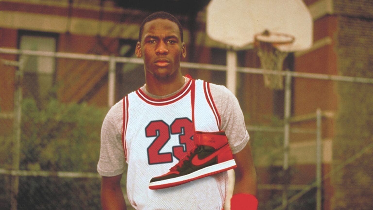 MICHAEL JORDAN 【 Biografía ⊛ Palmarés ⊛ Curiosidades